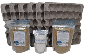 dubia roach colony starter kit, 1lb organic feeder insect gut loading chow, water crystals, 6 egg flats, for breeding insects, cricket alternative, for bearded dragons, leopard geckos, reptiles