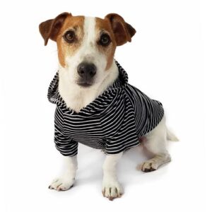 django dog hoodie and super soft and stretchy sweater with elastic waistband and leash portal (medium, black)