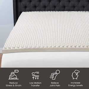 Treaton 1-inch Soft Foam Toppers with Convoluted Egg Shell Design | Extends Mattress Topper Life, Provides Proper Back Support and Relieves Pain, Improves Better Posture, Twin, White