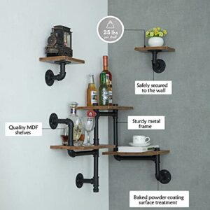 BOTAOYIYI Industrial Pipe Shelving, Farmhouse Shelves for Wall Mount Pipe Bookshelf Floating with Rustic Wooden Planks for Bar Kitchen Living Room