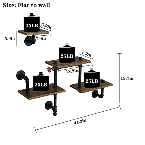 BOTAOYIYI Industrial Pipe Shelving, Farmhouse Shelves for Wall Mount Pipe Bookshelf Floating with Rustic Wooden Planks for Bar Kitchen Living Room