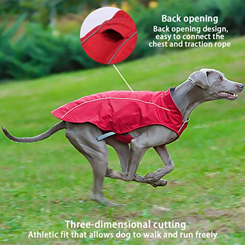 FamilyQL Dog Coat Water-Resistant Windproof with Reflective Trim Dog Jacket Warm Fleece Lined Anti-Tear Adjustable Outdoor Dog Clothes for Small Medium Large and Extra Large Dogs (Grey, Medium)