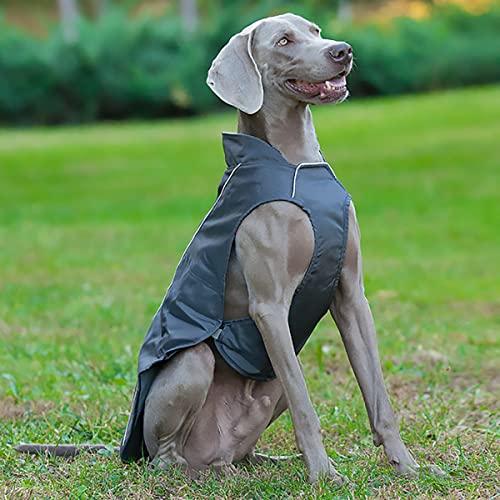 FamilyQL Dog Coat Water-Resistant Windproof with Reflective Trim Dog Jacket Warm Fleece Lined Anti-Tear Adjustable Outdoor Dog Clothes for Small Medium Large and Extra Large Dogs (Grey, Medium)