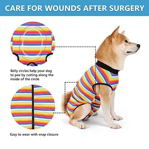 Etdane Recovery Suit for Dog Cat After Surgery Dog Surgical Recovery Onesie Female Male Pet Bodysuit Dog Cone Alternative Abdominal Wounds Protector Rainbow Stripe/X-Large