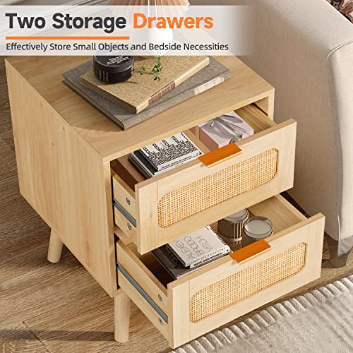 LAZZO Set of 2 Nightstands Wooden Night Stands with Rattan Drawers Home Bedside End Table for Bedroom (2 Drawers Design)