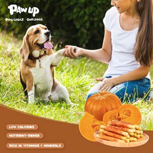 PAWUP Dog Treats Chicken Wrapped Biscuits Pumpkin Sticks, Rawhide Free Soft Chewy w/Taurine, Dog Training Treats,12.5oz