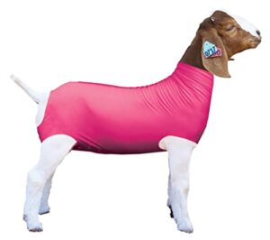 show pro pink spandex goat tube for show goats - show livestock supplies: goat covers & blankets (medium)