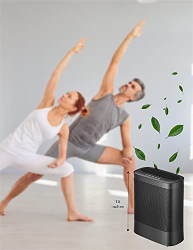 Air Purifiers, True Hepa 13 filters for Large Room, CADR 450 m³/h, Air Cleaner with UV-C Light, 3 Speeds, 3 Timers, Change Filter Reminder, Remove off 99.97% Dust, Allergens, Pollen, Pets, Hair, Smoke (black)