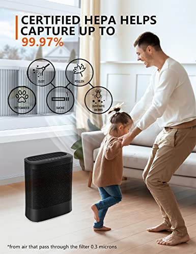 Air Purifiers, True Hepa 13 filters for Large Room, CADR 450 m³/h, Air Cleaner with UV-C Light, 3 Speeds, 3 Timers, Change Filter Reminder, Remove off 99.97% Dust, Allergens, Pollen, Pets, Hair, Smoke (black)