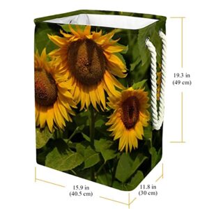 Inhomer Sunflower Three Flower Plant Supplies Yellow Large Laundry Hamper Waterproof Collapsible Clothes Hamper Basket for Clothing Toy Organizer, Home Decor for Bedroom Bathroom