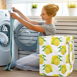 Inhomer Summer Fruit Lemon Cutting Pattern Large Laundry Hamper Waterproof Collapsible Clothes Hamper Basket for Clothing Toy Organizer, Home Decor for Bedroom Bathroom