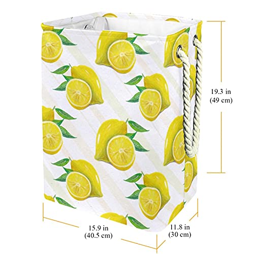 Inhomer Summer Fruit Lemon Cutting Pattern Large Laundry Hamper Waterproof Collapsible Clothes Hamper Basket for Clothing Toy Organizer, Home Decor for Bedroom Bathroom