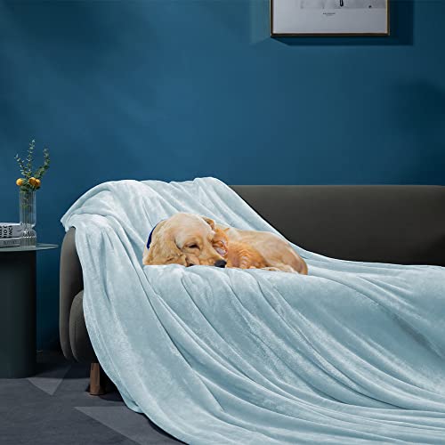 Shilucheng Dog Blanket with Fluffy Premium Fleece Throw for Dog,Puppy, Cat,Pet .Blanket Throw Protects Couch, Bed, Car Seat. (M(43"X60"),Turquoise)