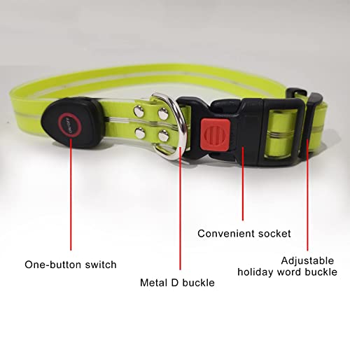 Led Light Up Dog Collar and Leash for Night Time Walking Glow in The Dark Dog Leashes and Collars Set Waterproof Rechargeable