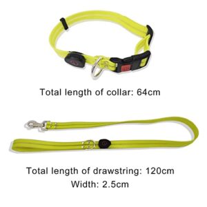 Led Light Up Dog Collar and Leash for Night Time Walking Glow in The Dark Dog Leashes and Collars Set Waterproof Rechargeable