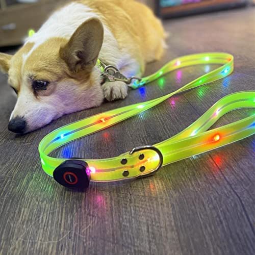 Led Light Up Dog Collar and Leash for Night Time Walking Glow in The Dark Dog Leashes and Collars Set Waterproof Rechargeable