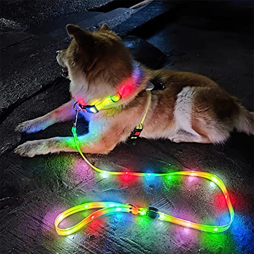 Led Light Up Dog Collar and Leash for Night Time Walking Glow in The Dark Dog Leashes and Collars Set Waterproof Rechargeable