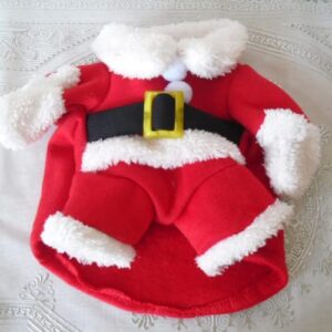 Betreasure Pet Dog Christmas Clothes Santa Claus Dog Costume Winter Puppy Pet Cat Coat Jacket Dog Suit with Cap Warm Clothing for Dogs Cats (Small)