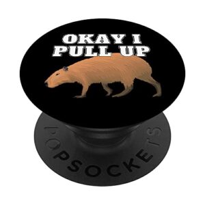 okay i pull up capybara popsockets swappable popgrip