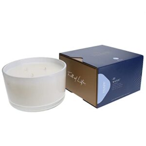 trapp - no. 20 water - 16 oz. 3-wick candle - aromatic home fragrance with fresh scent of fresh ozone, aqueous notes, & white florals notes - soy wax blend