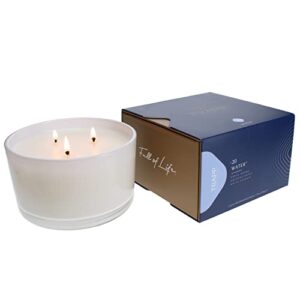 Trapp - No. 20 Water - 16 oz. 3-Wick Candle - Aromatic Home Fragrance with Fresh Scent of Fresh Ozone, Aqueous Notes, & White Florals Notes - Soy Wax Blend