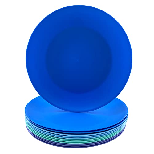 WEXINHAO Plastic Plates Reusable - 10 inch Unbreakable Dinner Plates set of 12 - BPA Free Dishwasher Safe Microwave Plates - Everyday Large Plates for Kids Kitchen Salad Party Outdoor