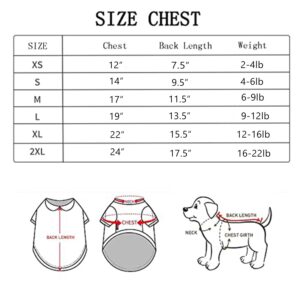 HongGun Dog Hoodies Winter Warm Dog Sweatshirt Outfit Fashion Sweater Pomeranian Clothes Rat Costume for Cats Puppy Small Medium Dogs (S-Grey), S---Back Length 29cm