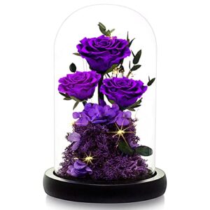 denimomo preserved rose gifts for mom wife grandma forever real roses in glass dome,beauty and the beast rose flowers,thanksging anniversary birthday gifts/purple