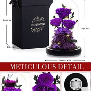 DENIMOMO Preserved Rose Gifts for Mom Wife Grandma Forever Real Roses in Glass Dome,Beauty and The Beast Rose Flowers,Thanksging Anniversary Birthday Gifts/Purple