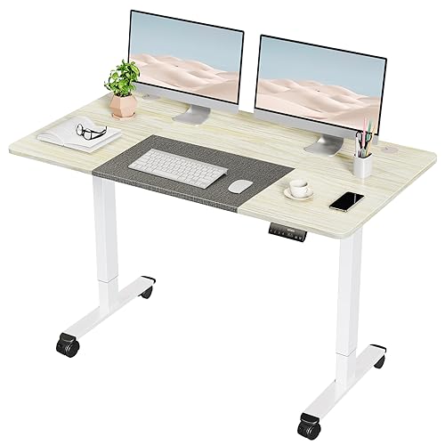 WOKA 55 x 28 Inch Electric Standing Desk, Height Adjustable Stand Up Desk, Sit Stand Desk with Memory Controllers, Adjustable Desks for Home Office with White and Grey Top and White Frame