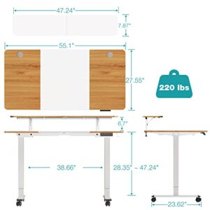 WOKA 55 x 28 Inch Dual Motor Electric Standing Desk, 2-Tier Height Adjustable Stand up Desk, Sit Stand Desk with Memory Controller, Adjustable Desks for Home Office, Motorized Desk with Splice Board