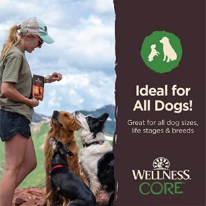 Wellness CORE Soft Tiny Trainers (Previously Petite Treats), Natural Grain-Free Dog Treats for Training, Made with Real Meat, No Artificial Flavors (Lamb & Apple, 6 Ounce Bag)