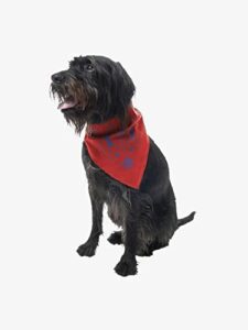 insect repellant dog bandana for protecting dogs from fleas, ticks, and mosquitoes, paisley, red