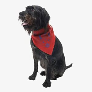 Insect Repellant Dog Bandana for Protecting Dogs from Fleas, Ticks, and Mosquitoes, Paisley, Red