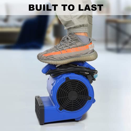 Simple Deluxe Air Mover, 305 CFM Mini Floor Blower Fan for Water Damage, Blue, 12 Inch (HIFANXFLOORDRYER6B)