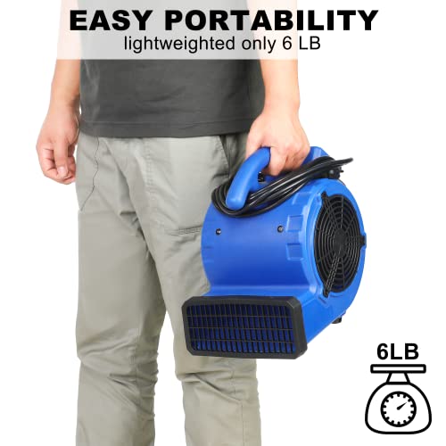 Simple Deluxe Air Mover, 305 CFM Mini Floor Blower Fan for Water Damage, Blue, 12 Inch (HIFANXFLOORDRYER6B)