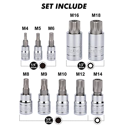 CASOMAN 10PCS 1/4-Inch, 3/8-Inch & 1/2-Inch Drive XZN Triple Square Spline Bit Socket Set, M4-M18, 12 Point Tamper Proof, Cr-V Sockets and S2 Steel Bits