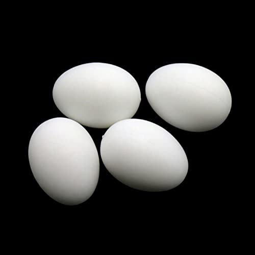 Maxmoral 12pcs Fake Eggs Plastic False Pigeon Eggs for Hatch Breeding Supplies Solid Pigeon Fake Egg Pigeon Hatching Supplies