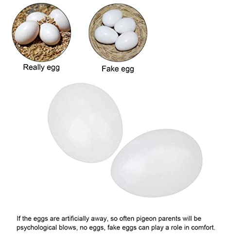 Maxmoral 12pcs Fake Eggs Plastic False Pigeon Eggs for Hatch Breeding Supplies Solid Pigeon Fake Egg Pigeon Hatching Supplies