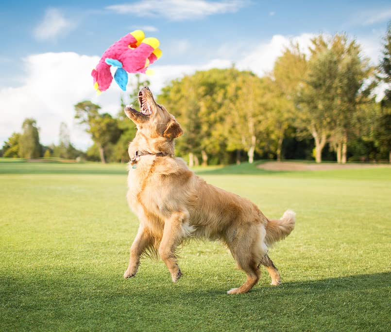 Dog Toys, Puppy Toys with Crinkle Paper Cute Squeaky Dog Toys Dog Chew Toys for Small Medium Large Dogs