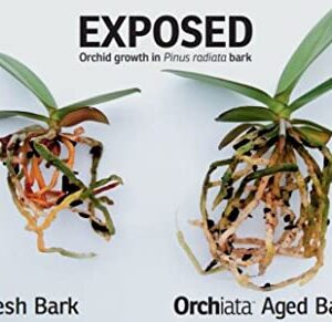 Orchiata Orchid Bark | Orchid Bark for Plants 100% Pure New Zealand Pinus Radiata | Classic ¼” to ⅜” Organic Potting Orchid Bark for Aeration and Longevity