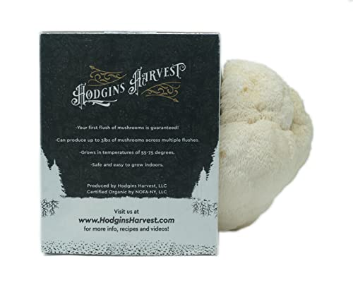 Hodgins Harvest Extra-Large Lion's Mane Mushroom Grow Kit (7lbs) | USDA Certified Organic | Grow Your Own Delicious Gourmet Mushrooms at Home