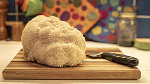 Hodgins Harvest Extra-Large Lion's Mane Mushroom Grow Kit (7lbs) | USDA Certified Organic | Grow Your Own Delicious Gourmet Mushrooms at Home