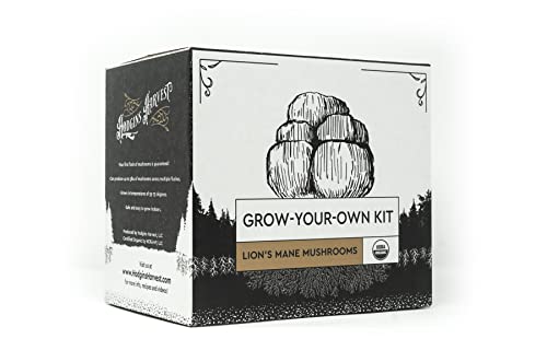 Hodgins Harvest Extra-Large Lion's Mane Mushroom Grow Kit (7lbs) | USDA Certified Organic | Grow Your Own Delicious Gourmet Mushrooms at Home