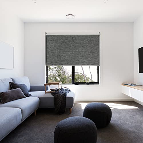 RED GRAPES Roller Window Shades,100% Blackout UV Protection Roller Blinds,Window Blind with Thermal Insulated,Window Shade for Home Office Living Room,Easy to Install(Gray, 36'')