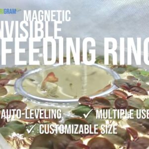 Magnetic Invisible Feeding Ring (Customizable and Auto-Leveling) Food Portal for Floating Plant Aquariums and Fish Tanks (Single)