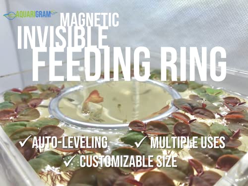 Magnetic Invisible Feeding Ring (Customizable and Auto-Leveling) Food Portal for Floating Plant Aquariums and Fish Tanks (Single)