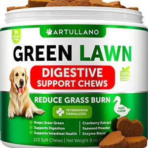 Grass Burn Spot Chews for Dogs - Dog Pee Lawn Spot Saver Caused by Dog Urine - Grass Treatment Rocks - Cranberry + Digestive Enzymes - Dog Urine Neutralizer for Lawn