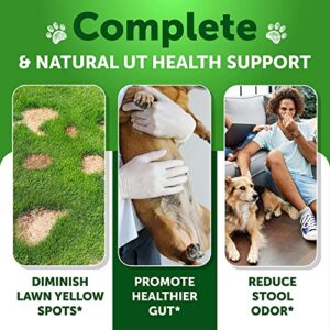 Grass Burn Spot Chews for Dogs - Dog Pee Lawn Spot Saver Caused by Dog Urine - Grass Treatment Rocks - Cranberry + Digestive Enzymes - Dog Urine Neutralizer for Lawn