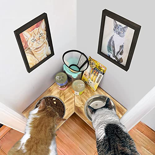 Cat Bowls Elevated Raised Cat Dog Bowl Stand with 2 Stainless Steel Cat Food Bowls for Cat Food and Water Bowls to Cats Small Dog Two Splicing Methods Carbonized Black